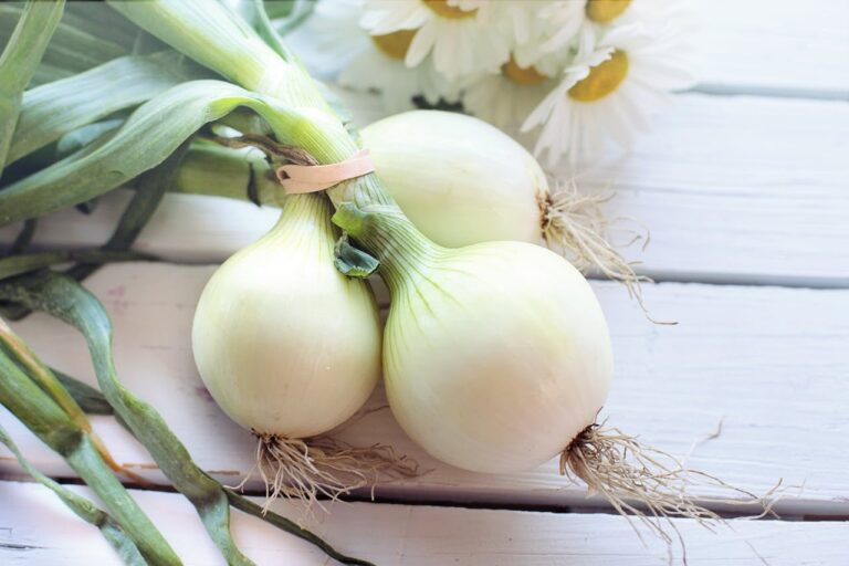 Growing Sweet Onions - Vegetables For All